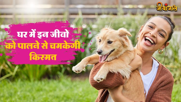 Lucky Animals : घर में जीवों को पालने से चमक उठती है किस्मत, जानें यहां ...