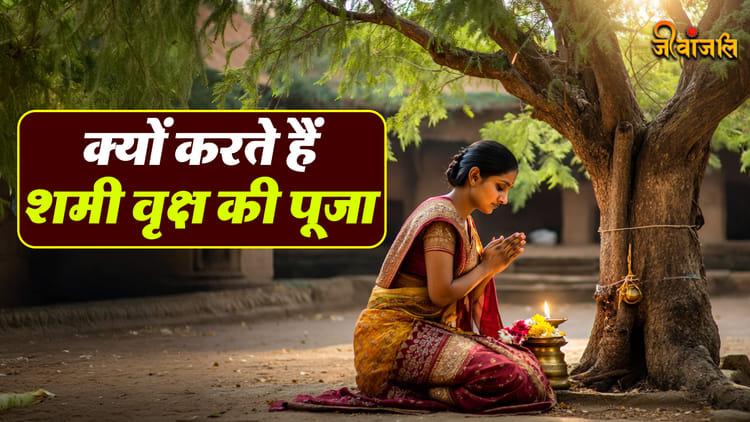 Shami Tree Worship: हिंदू धर्म में शमी वृक्ष की पूजा क्यों की जाती है ...