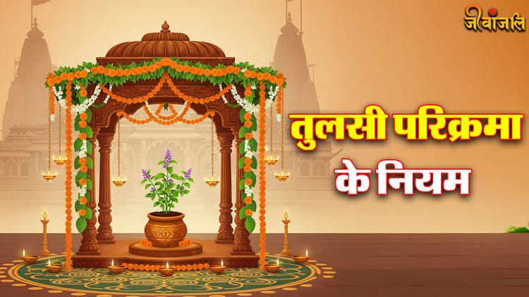 Tulsi Parikrama Rules: तुलसी की परिक्रमा करने से कौन-सा फल मिलता है ...