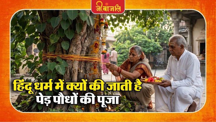 Hindu Dharm Pooja : हिन्दू धर्म में क्यों की जाती है पेड़ -पौधों की ...