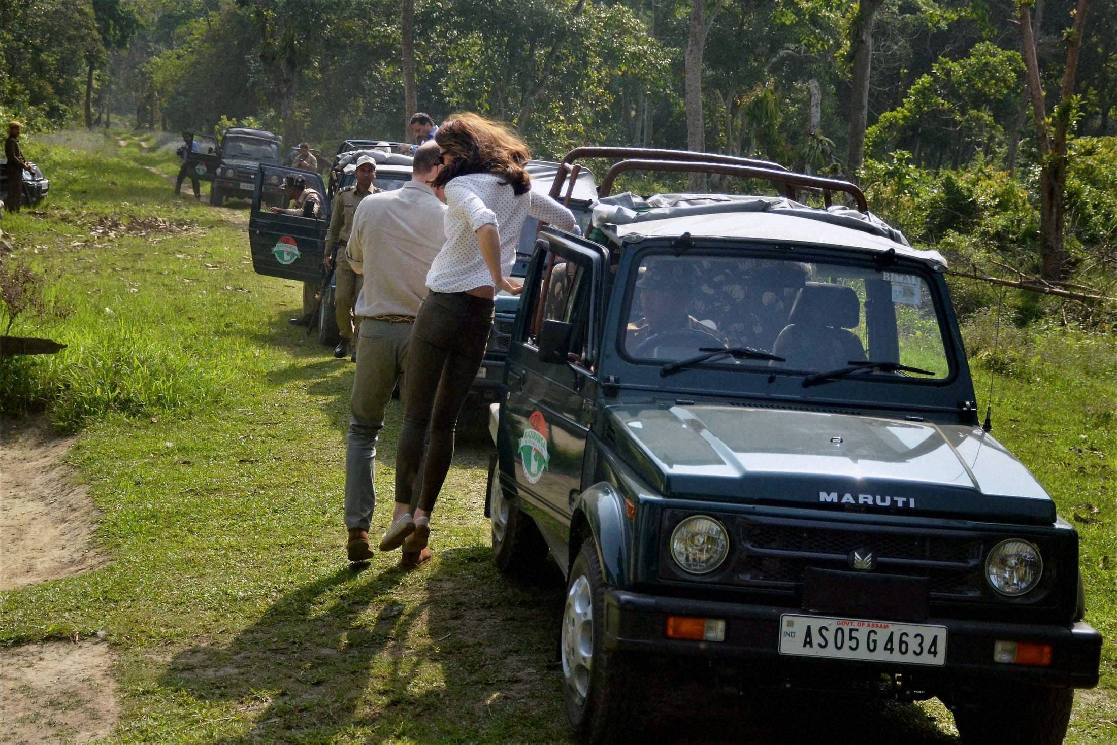 नेशनल पार्क में बेखौफ होकर घूमे प्रिंस विलियम और केट मिडलटन - Prince ...